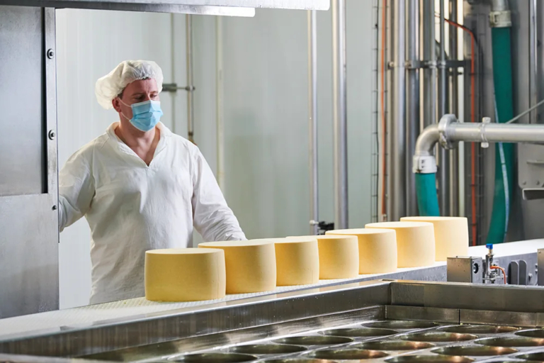 What Chemicals Can Be Found in Cheese?
