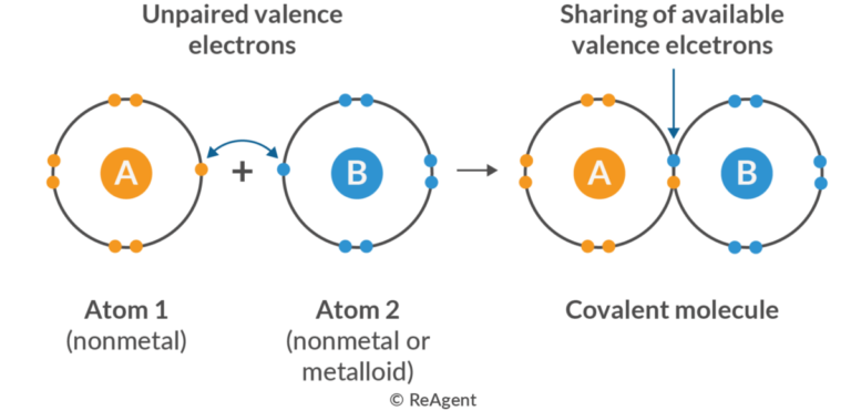 Understanding Ionic Bonds | The Science Blog